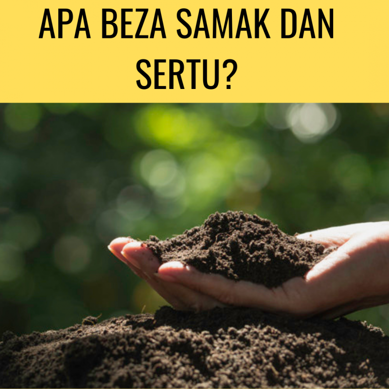 Apa Beza Sertu dan Samak? – Manisfm