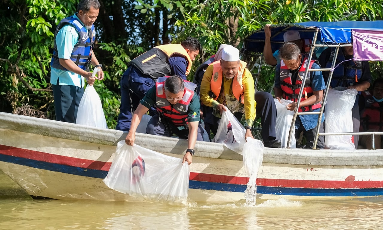 Lebih 329 Ribu Anak Benih Ikan, Udang Dilepaskan Setakat Ini – Manisfm